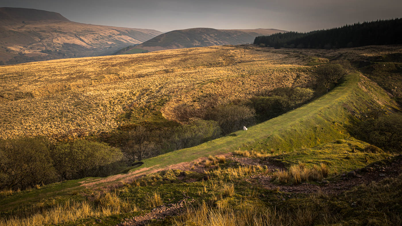 Cribarth-1-3 - Landscapesuncovered.com